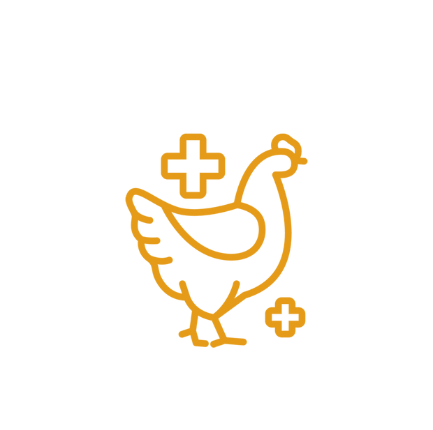 Chicken Supplies Australia